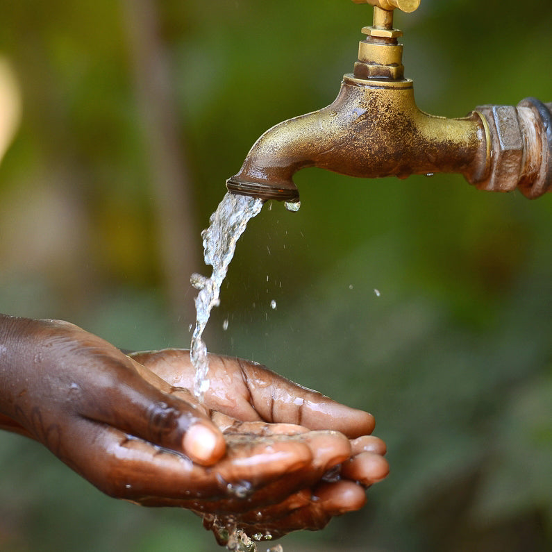 Nachhaltigkeit | Oh Sheet!